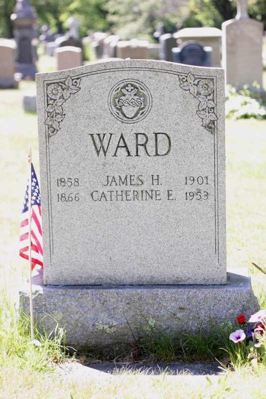 Sergeant James Henry Ward, B Troop, 7th Cavalry – Extraordinary Heroism ...